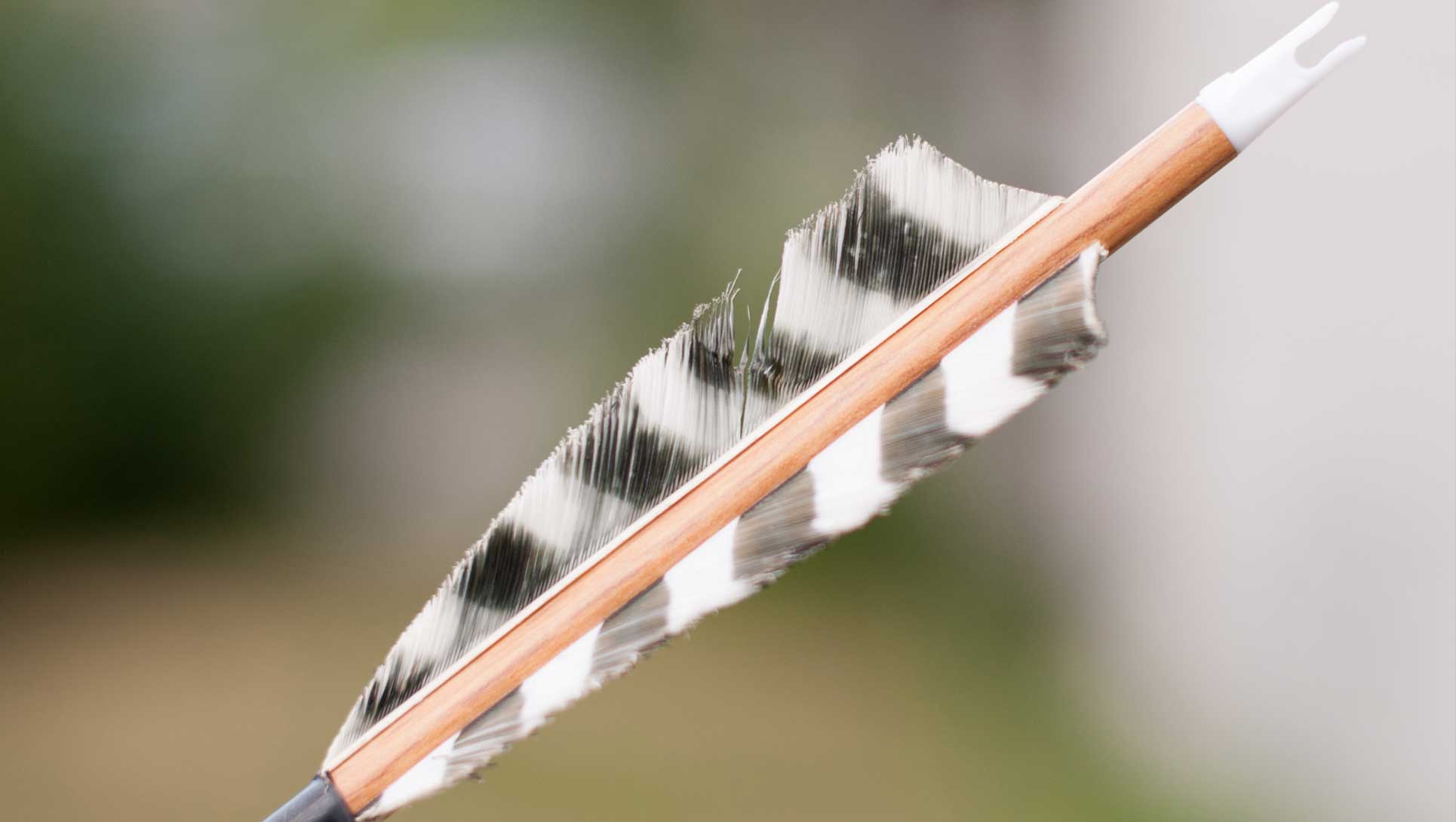 Bogensport, Survival, Outdoor, Messer und vieles mehr